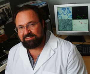 USF Health News Archives » Dr. Morgan named chief scientific officer at ...