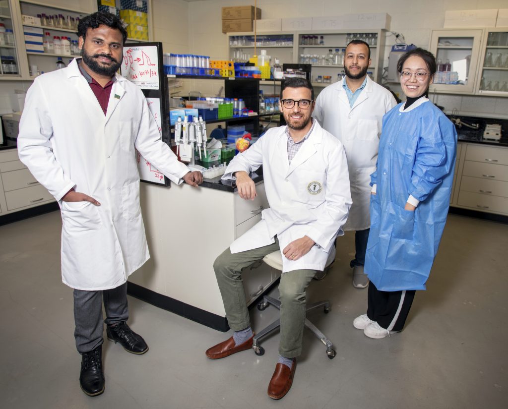 Collaborative effort creates buzz: Could honeybee venom help treat ...